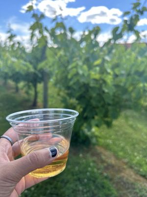 THE 10 BEST Things to Do in Red Point, MD - 2025 - Yelp