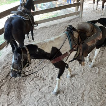RED RIDGE RANCH RIDING STABLES - Updated October 2025 - 92 Photos & 59 ...