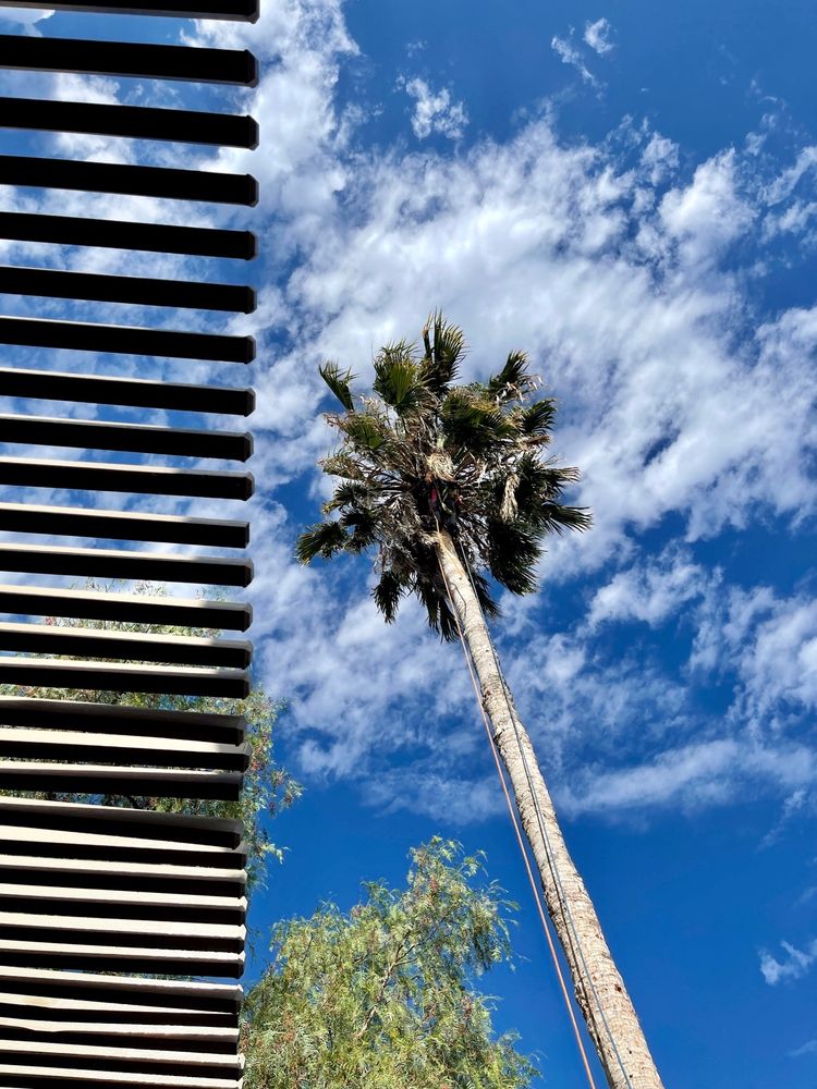 EG TREE SERVICE - Updated November 2025 - 137 Photos & 108 Reviews ...