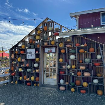 YESTERYEAR FARMS - Updated September 2025 - 194 Photos & 103 Reviews ...