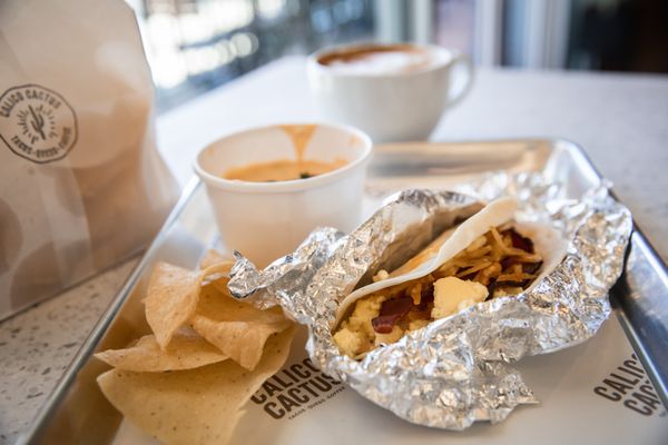 CALICO CACTUS - Updated June 2025 - 88 Photos & 40 Reviews - 833 S ...