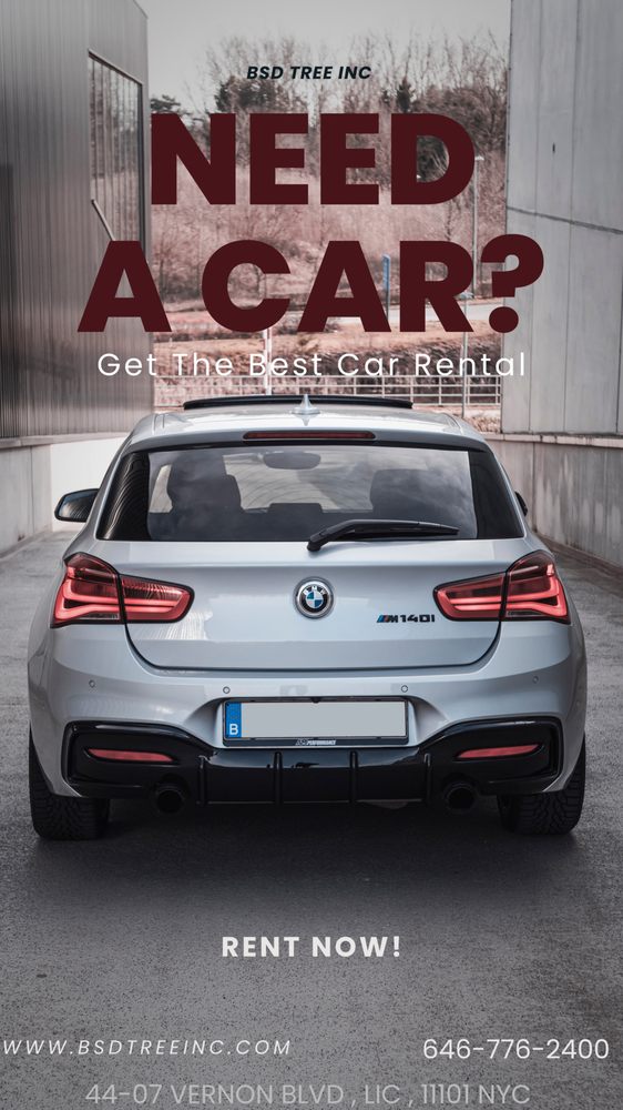 BSD TREE - Updated January 2026 - 18 Photos & 19 Reviews - 44-07 Vernon ...