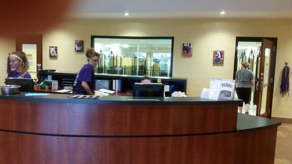 PET PALACE - INDIANAPOLIS/CARMEL - Updated July 2025 - 35 Reviews ... PET PALACE - INDIANAPOLIS/CARMEL - Updated July 2025 - 35 Reviews ...