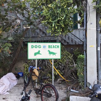 KEY WEST DOG BEACH - Updated April 2025 - 38 Photos & 25 Reviews ...