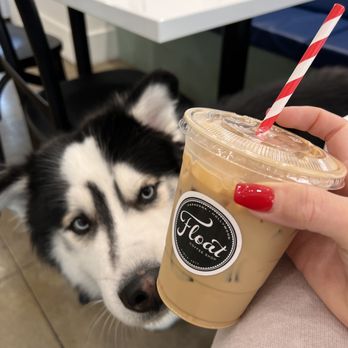 FLOAT HOLLYWOOD - 78 Photos & 26 Reviews - 1635 Vine St, Los Angeles ...