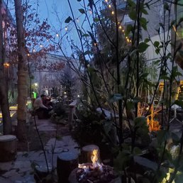 FOREST ROOM 5 - Updated July 2025 - 238 Photos & 813 Reviews - 2532 ...