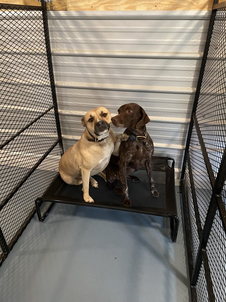 LUNA’S K9 CABIN - Updated January 2026 - Lake Wales, Florida - Pet ...