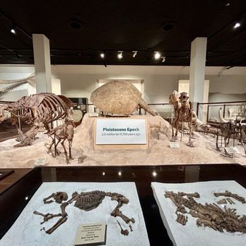 TEXAS SCIENCE & NATURAL HISTORY MUSEUM - Updated October 2025 - 174 ...