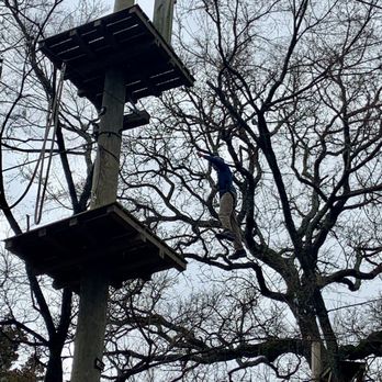 TRINITY FOREST ADVENTURE PARK - Updated October 2025 - 153 Photos & 82 ...