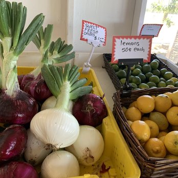 BERRY BEST FARM - Updated October 2025 - 51 Photos & 60 Reviews - 7450 ...