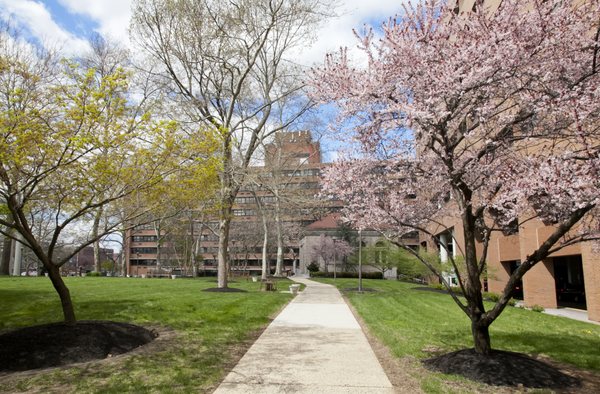 EINSTEIN MEDICAL CENTER PHILADELPHIA - Updated November 2025 - 22 ...