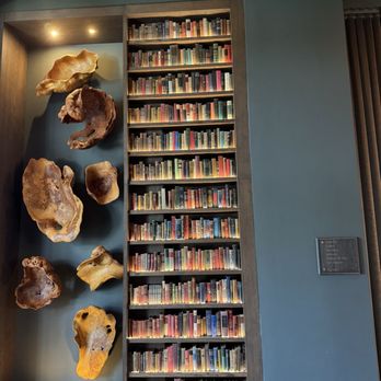 BETWEEN THE TREES - Updated September 2025 - 350 Photos & 142 Reviews ...