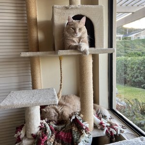 TALEGA ANIMAL HOSPITAL - Updated October 2025 - 37 Photos & 113 Reviews ...