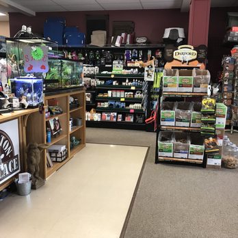 LEXINGTON PET PLACE - Updated October 2025 - 11 Photos - 111 W Nelson ...