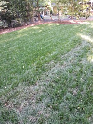 SUPER-SOD - Updated July 2024 - 10 Photos & 20 Reviews - 5058 Canton Rd ...