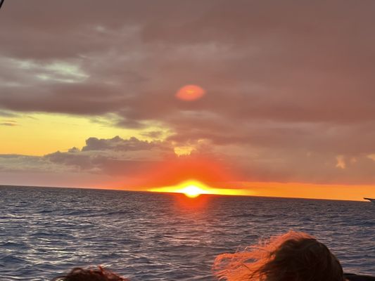 PINK SAILS WAIKIKI - 669 Photos & 452 Reviews - 1 Holomoana St ...