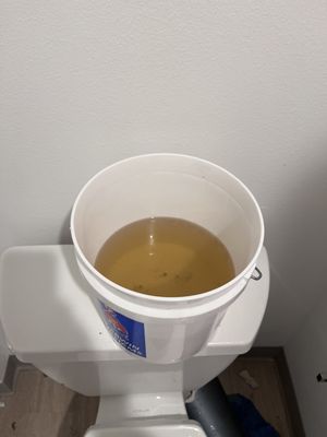 THE HARBOUR - Updated January 2026 - 45 Photos & 41 Reviews - 1369 ...