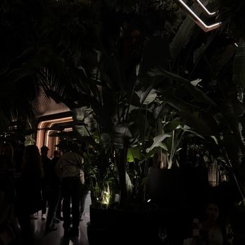 SAGO - Updated April 2025 - 454 Photos & 214 Reviews - 485 S Coast Hwy ...