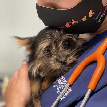 VETERINARY MEDICAL CENTER OF FORT MILL - Updated October 2025 - 40 ...