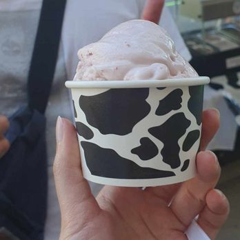 DAVIS CREAMERY - Updated January 2025 - 371 Photos & 398 Reviews (4.4 ...