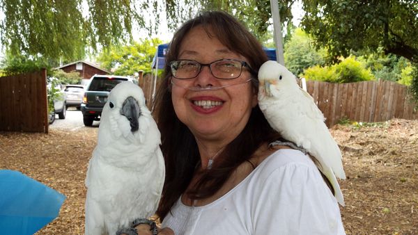 CENTER FOR BIRD AND EXOTIC ANIMAL MEDICINE - Updated May 2026 - 75 ...