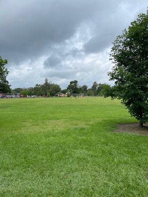FREED PARK - Updated December 2025 - 6818 Shadyvilla Ln, Houston, Texas ...
