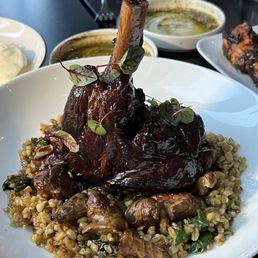 ZAKIA MODERN LEBANESE - 364 Photos & 105 Reviews - 3699 Lenox Rd NE ...