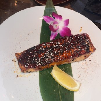 PLAYA - Updated June 2024 - 204 Photos & 94 Reviews - 915 Lincoln Rd ...