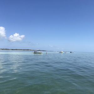 GRASSY KEY SAND BAR - Atlantic Ocean, Marathon, Florida - Bars - Yelp