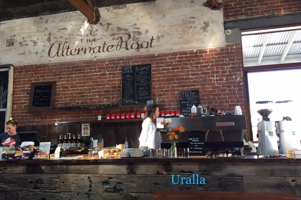 THE ALTERNATE ROOT - Updated December 2025 - 48 Bridge St, Uralla New ...