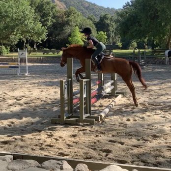 FOXFIELD RIDING SCHOOL - Updated May 2025 - 51 Photos & 49 Reviews ...