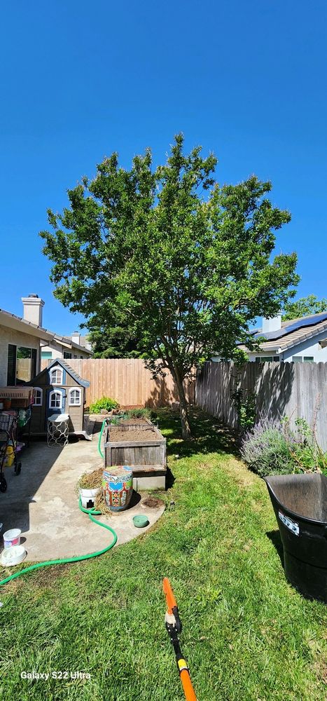 THE MCDONALD’S TREE & LANDSCAPING - Updated December 2025 - 22 Photos ...