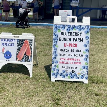 BLUEBERRY BUNCH FARM - TEMP. CLOSED - Updated October 2025 - 98 Photos ...