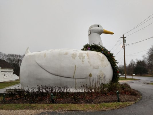 THE BIG DUCK - Updated November 2024 - 134 Photos & 69 Reviews - 1012 ...