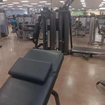 THE Y IN PARKVILLE - Updated August 2025 - 35 Photos & 22 Reviews ...