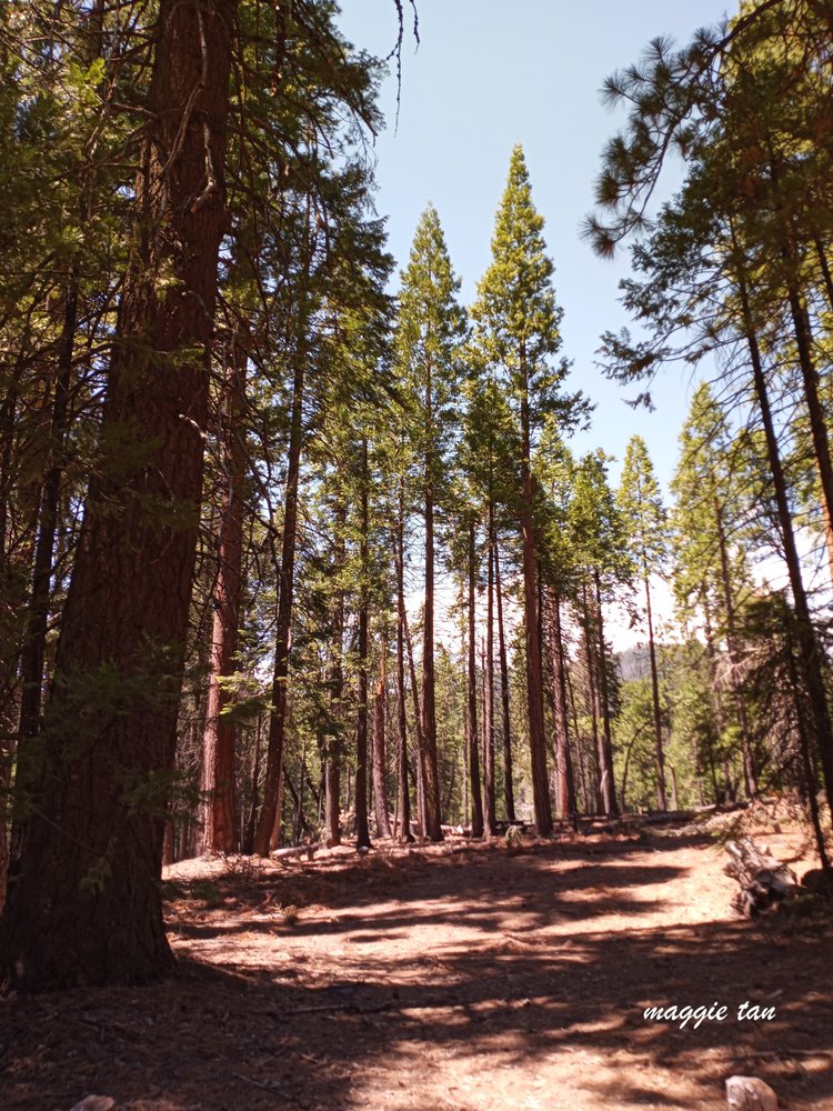 CHILKOOT CAMPGROUND - 15 Photos - 57003 Rd 225, North Fork, CA - Yelp