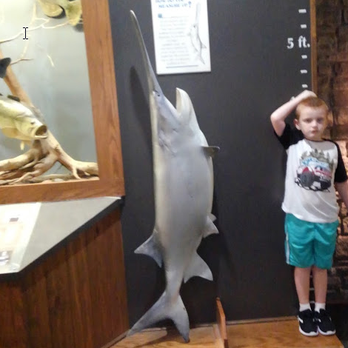 SALATO WILDLIFE CENTER - Updated July 2025 - 37 Photos & 12 Reviews - 1 ...