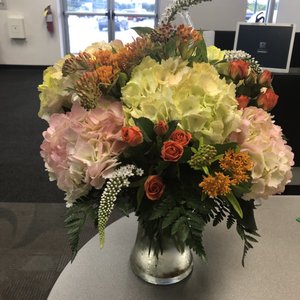 Oberer S Flowers West Chester Township Oh | Best Flower Site