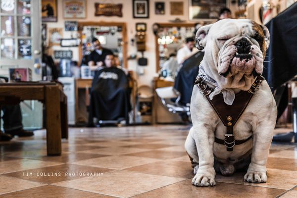 STAY GOLD BARBER SHOP - 45 Photos & 119 Reviews - 16887 Spring St ...