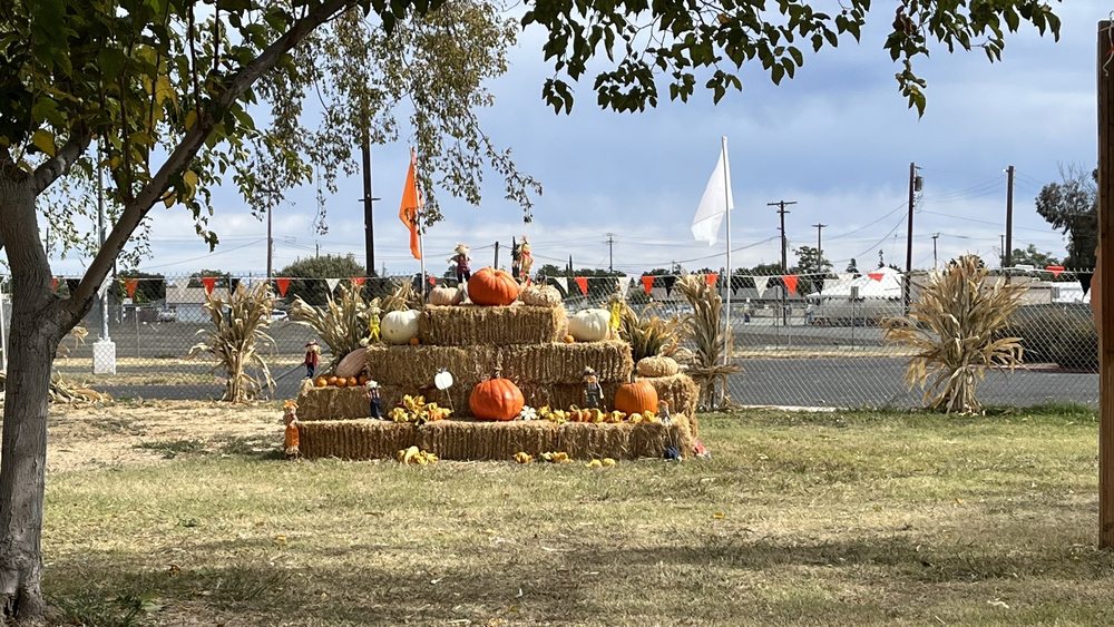 MAGIC PUMPKIN PATCH - Updated November 2025 - 24 Photos - 1201 W 10th ...