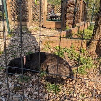 FOUR PAWS KINGDOM CAMPGROUND - Updated December 2025 - 58 Photos & 34 ...