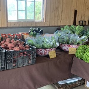 ALEXANDRE FAMILY FARM - Updated November 2025 - 34 Photos & 27 Reviews ...