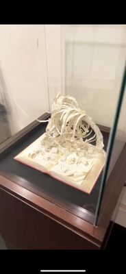 DEKALB COUNTY PUBLIC LIBRARY - Updated December 2025 - 43 Photos & 35 ...