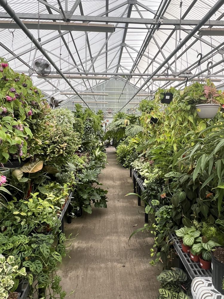 PROCTOR ACE HARDWARE - Updated January 2026 - 22 Photos & 36 Verified ...