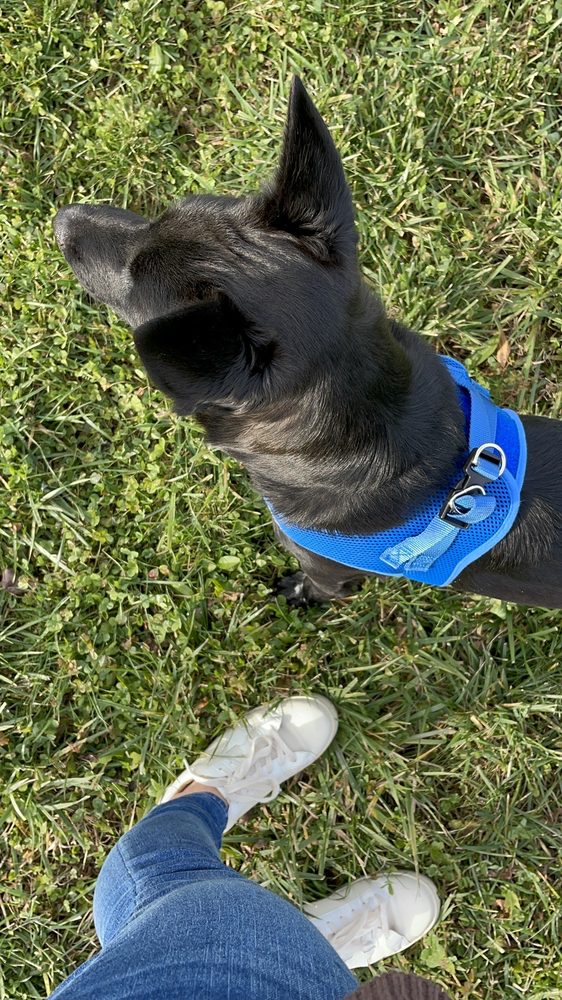 LEGACY GROVE - Updated August 2024 - 1107 W Lexington Ave, Winchester ...