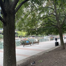 LIZZIE MCNEILL’S IRISH PUB - Updated July 2025 - 190 Photos & 327 ...