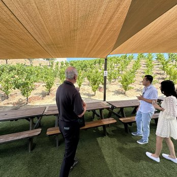 FAZELI CELLARS WINERY - Updated February 2025 - 1424 Photos & 1008 ...