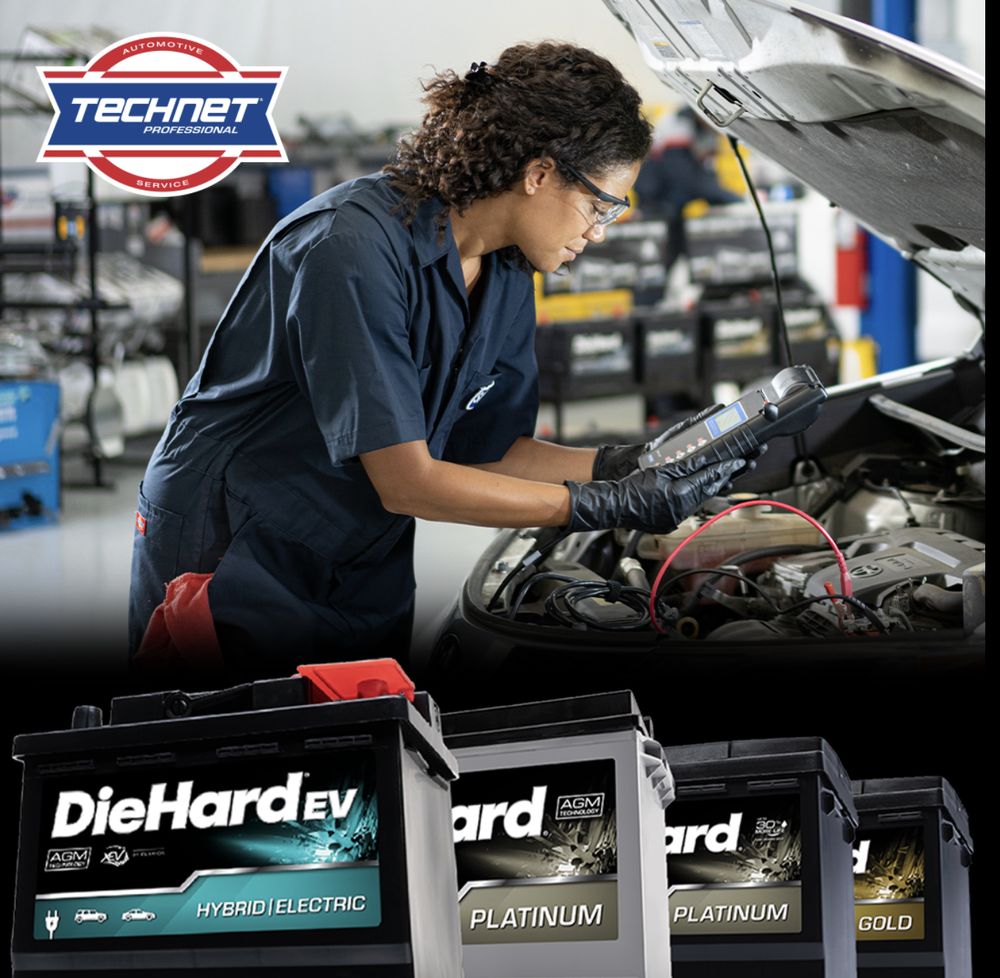 EC AUTOMOTIVE - Updated September 2025 - 12 Photos - 3113 US-9W ...