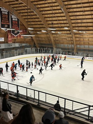 THE RINKS - ANAHEIM ICE - Updated August 2024 - 219 Photos & 216 ...