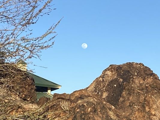 UNIVERSITY RIDGE PARK - Updated February 2025 - 32 Photos - 990 S ...